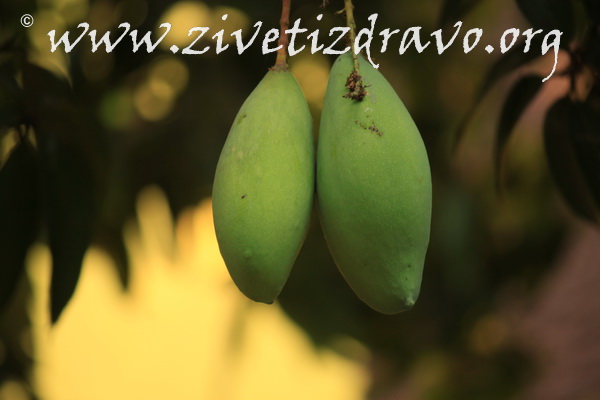 Banana i mango - Živeti u skladu s prirodom