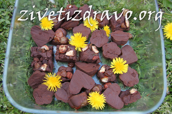 Mlečna posna čokolada sa lešnicima - Živeti u skladu s prirodom