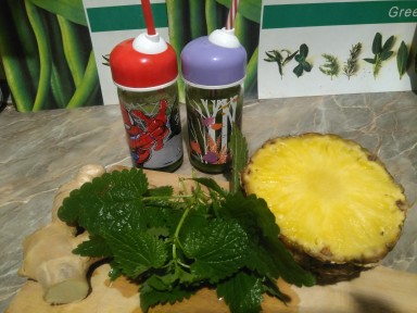 Živeti u skladu s prirodom » Cedjeni sokovi