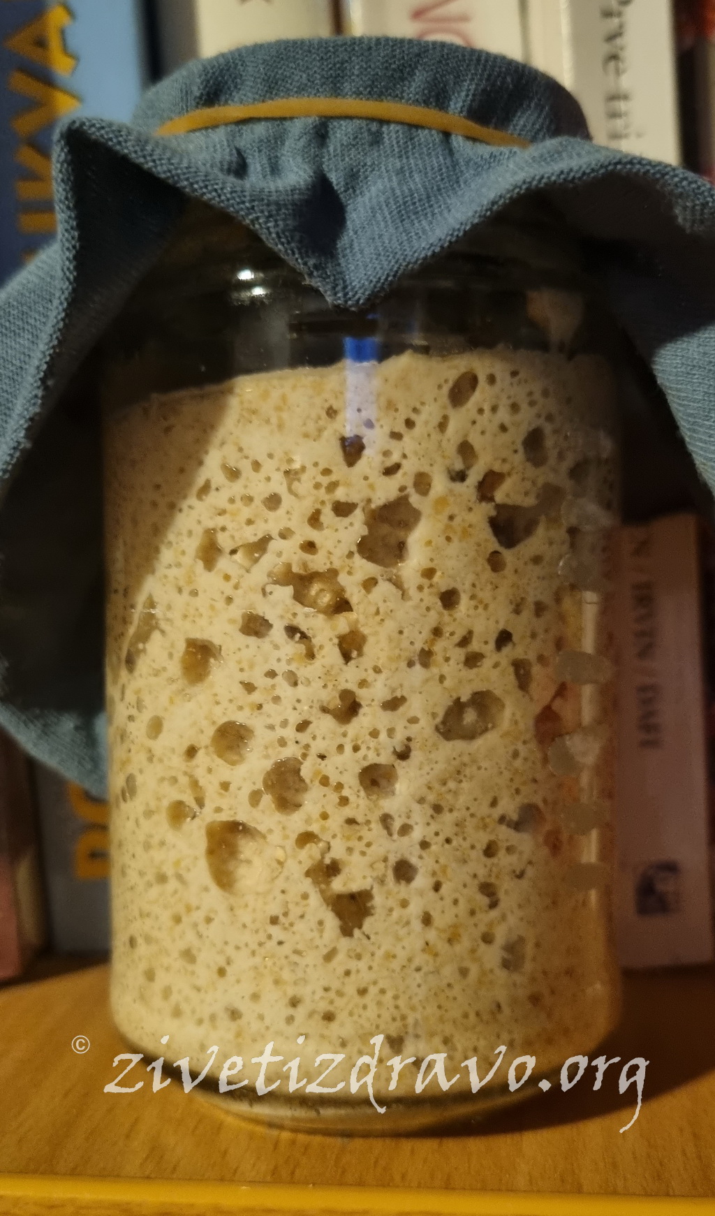 Starter ili domaći kvasac - Živeti u skladu s prirodom